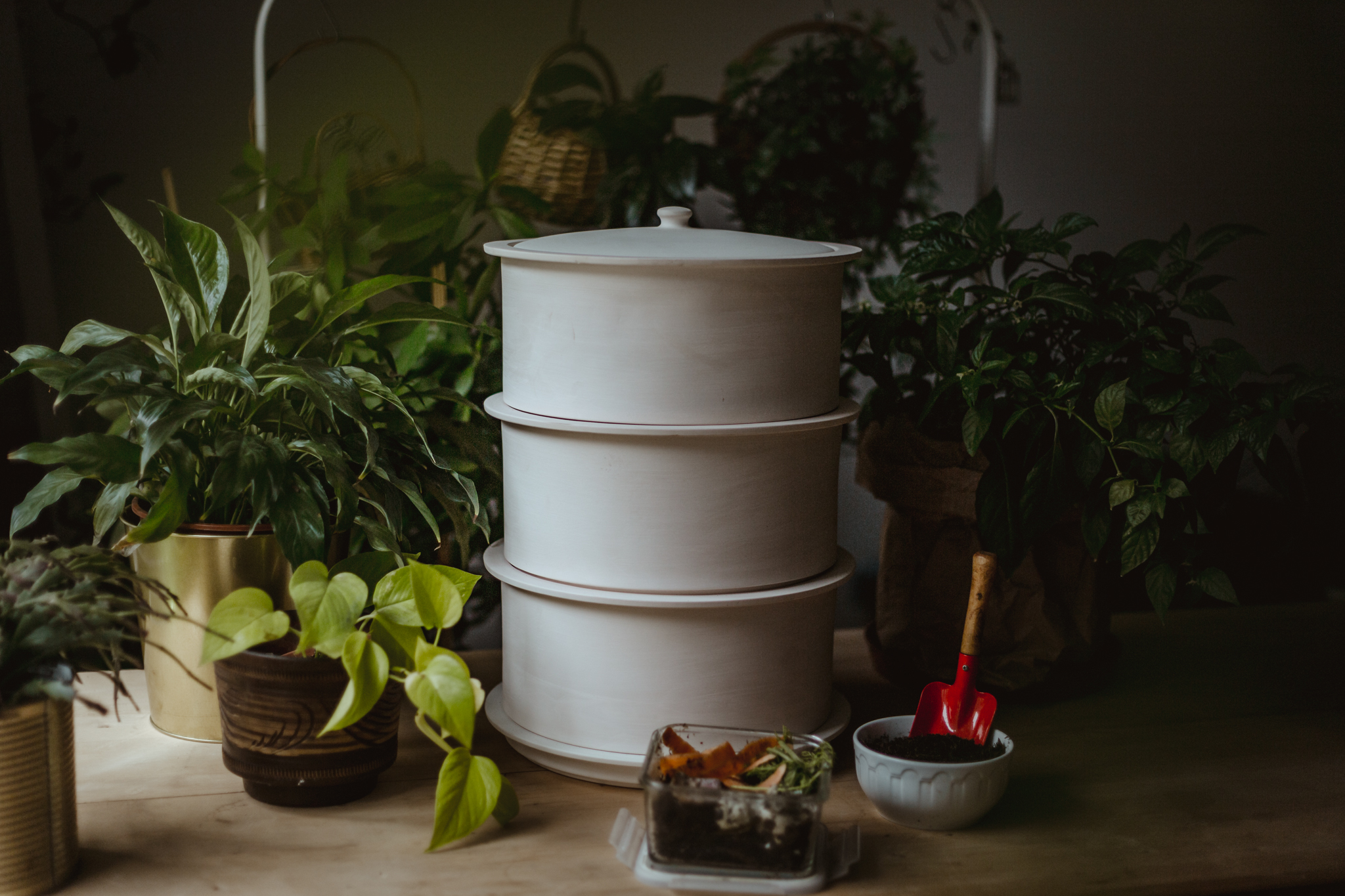 Tips against fruit flies in composting - COMPOT